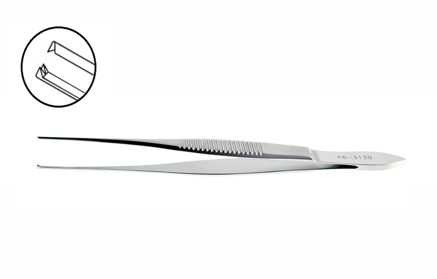 Pinces à disséquer - FCI